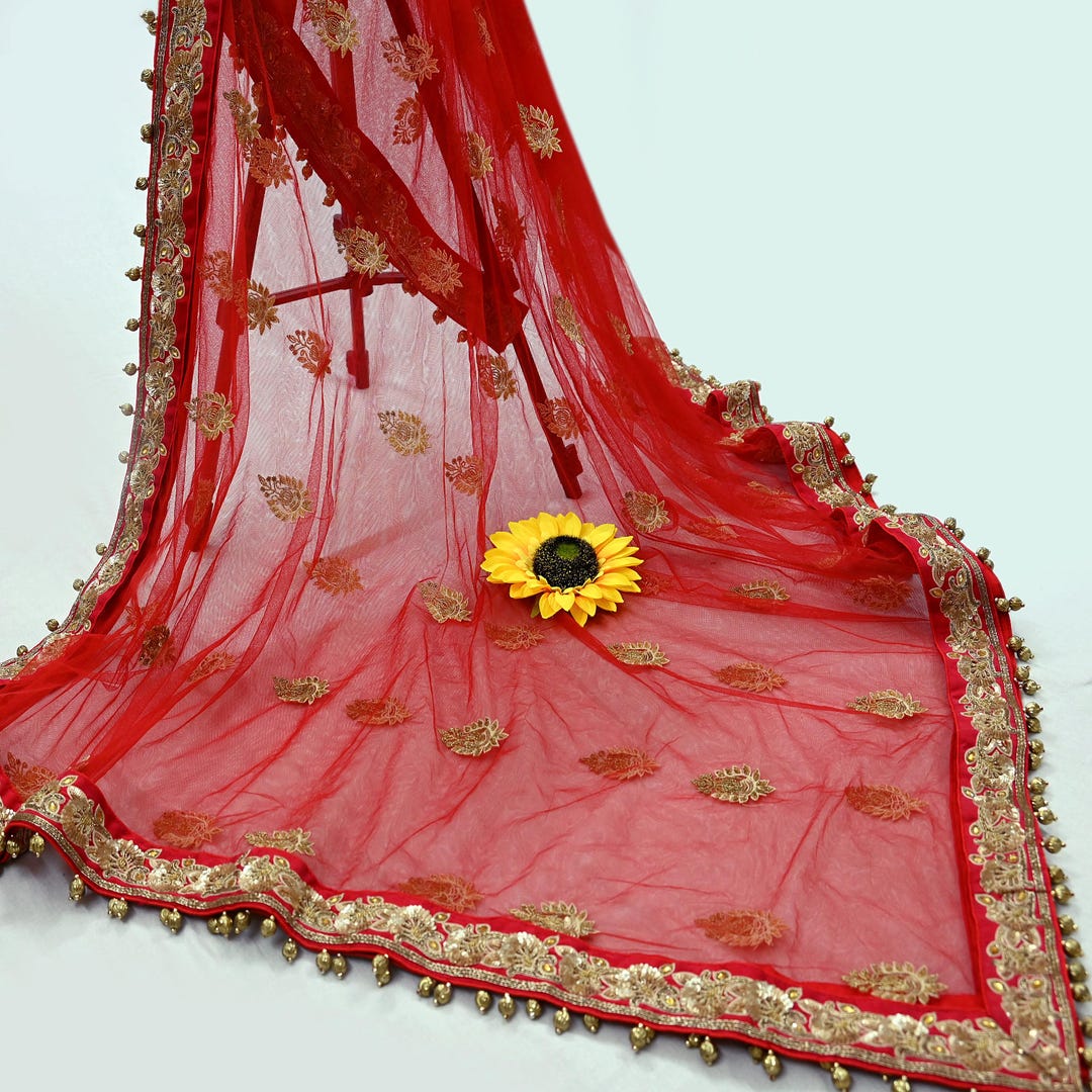 Indian Vintage Heavy Wedding Red Net/mesh/ Velvet Hand Embroidered ...