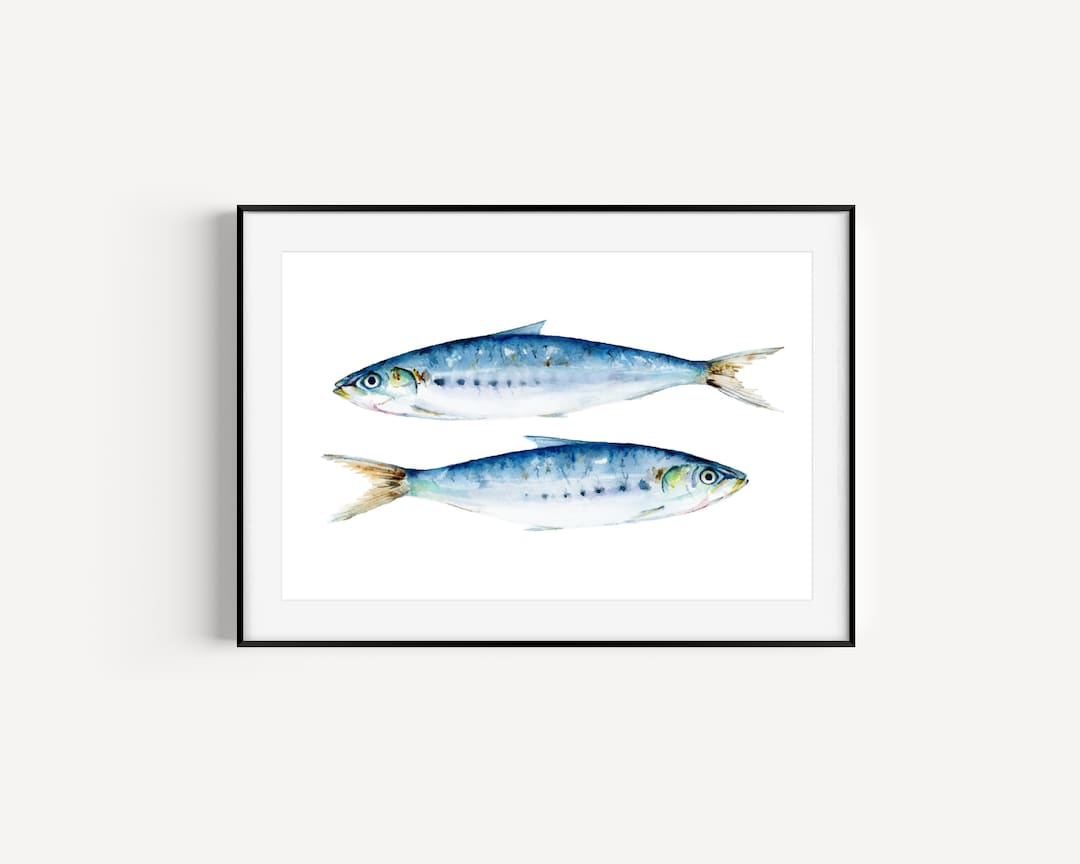 Cornish Pilchards Fine Art Print - Etsy