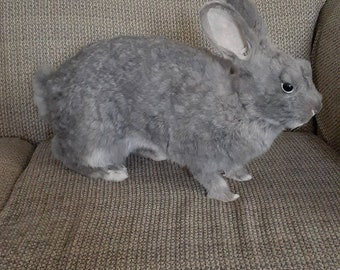 Rabbit Soft Mount - Etsy