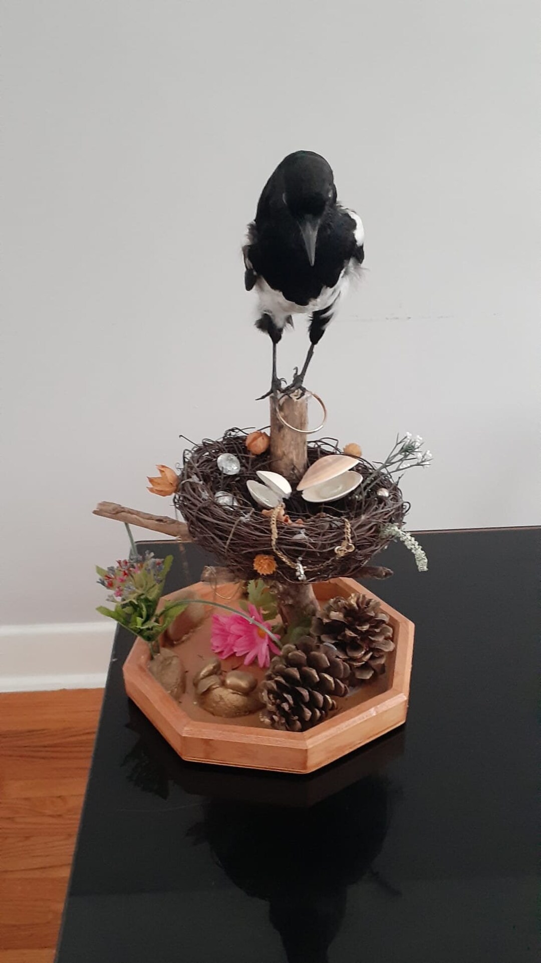 Standing Magpie Taxidermy Mounted on His Treasures, Bird Taxidermy - Etsy