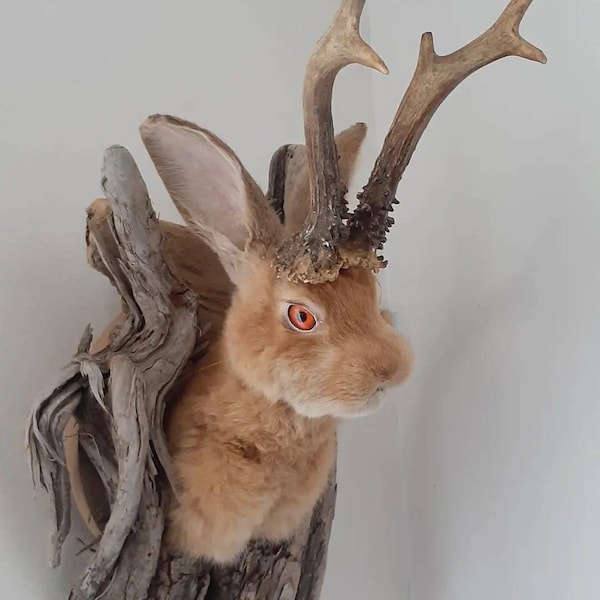 Rabbit With Antlers - Etsy
