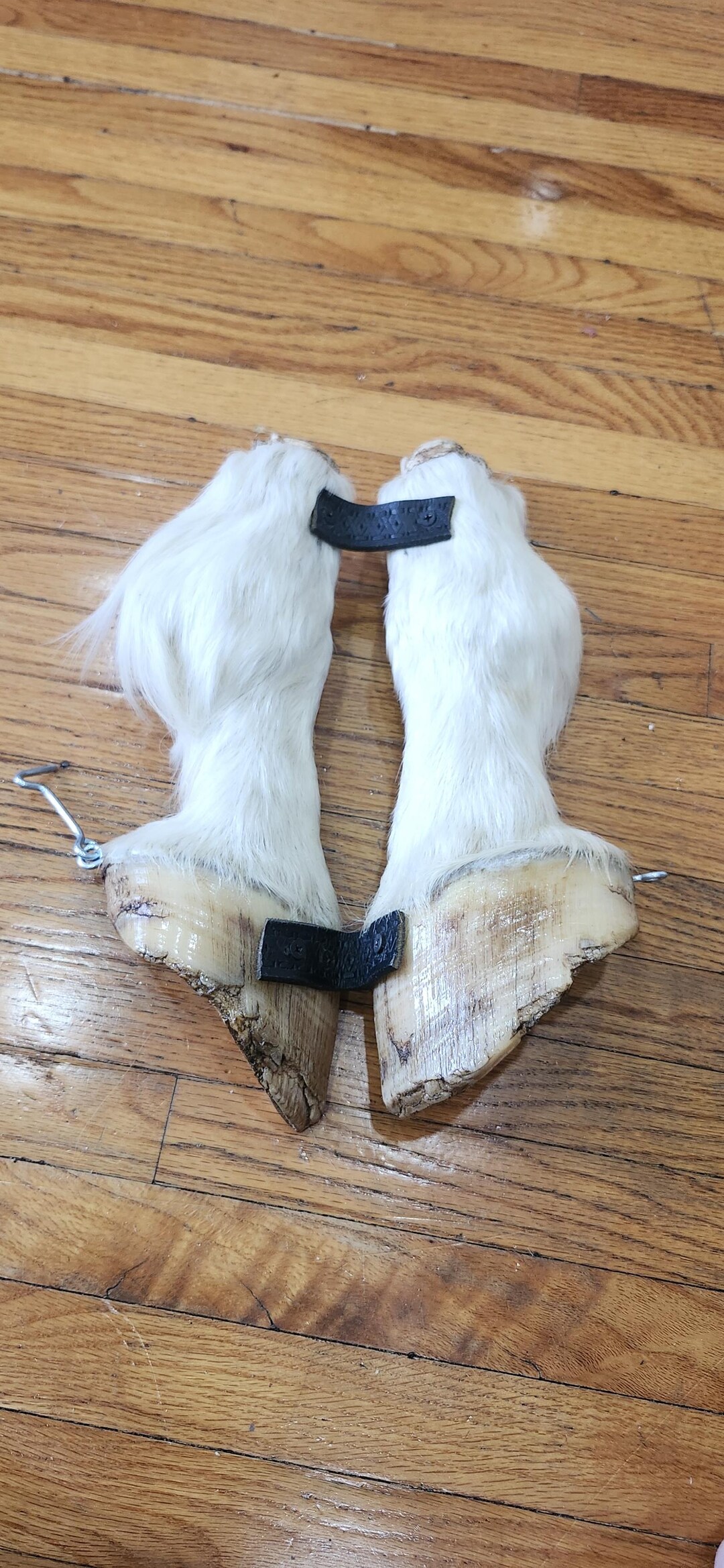 Horse Hoove. Horse Leg - Etsy