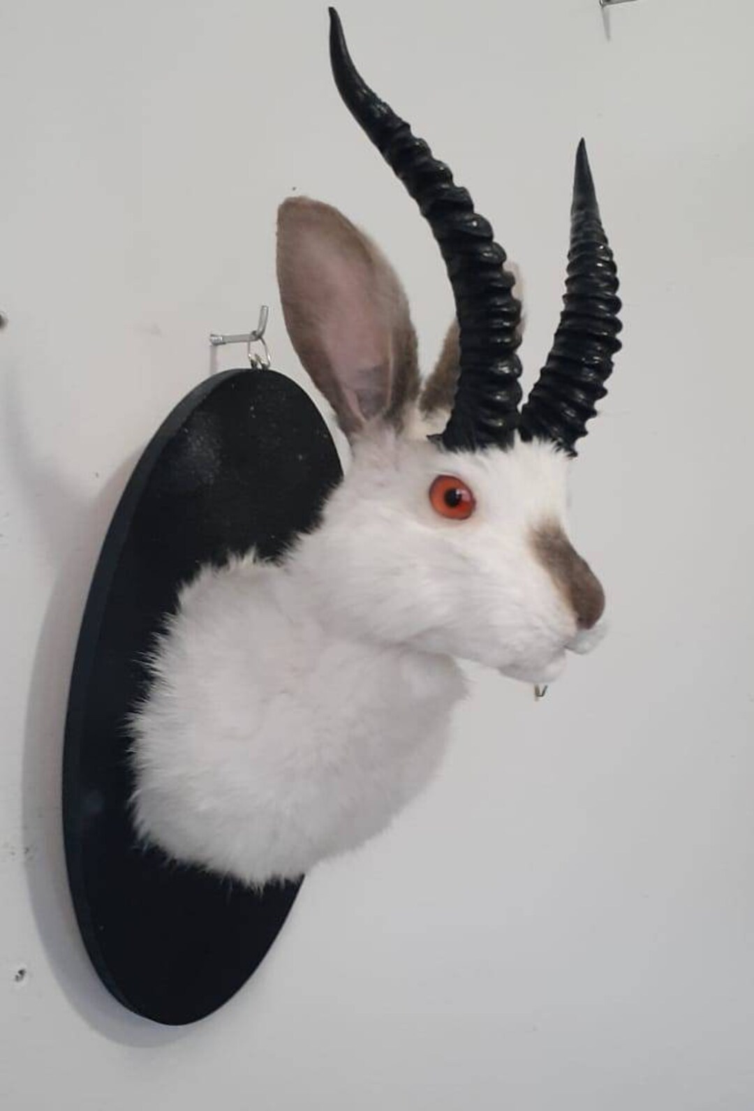 White Jackalope Taxidermy With Red Eyes and Black Replica Horns, Bunny ...