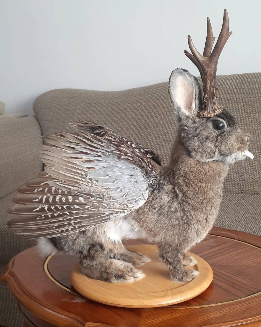 Unique Brown Three Eyed Wolpertinger Taxidermy, Full Body Jackalope ...