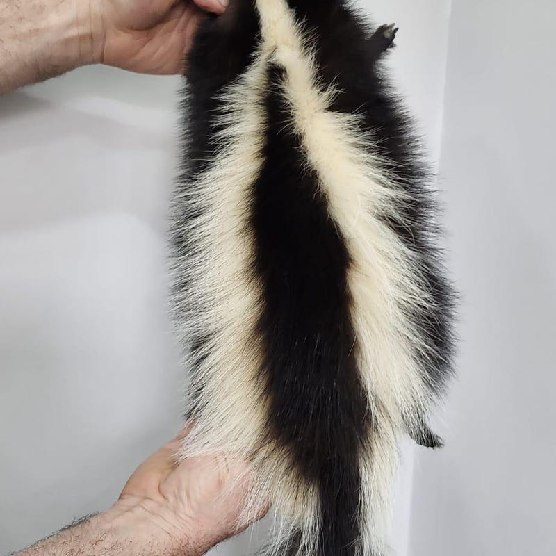 Skunk Tail - Etsy