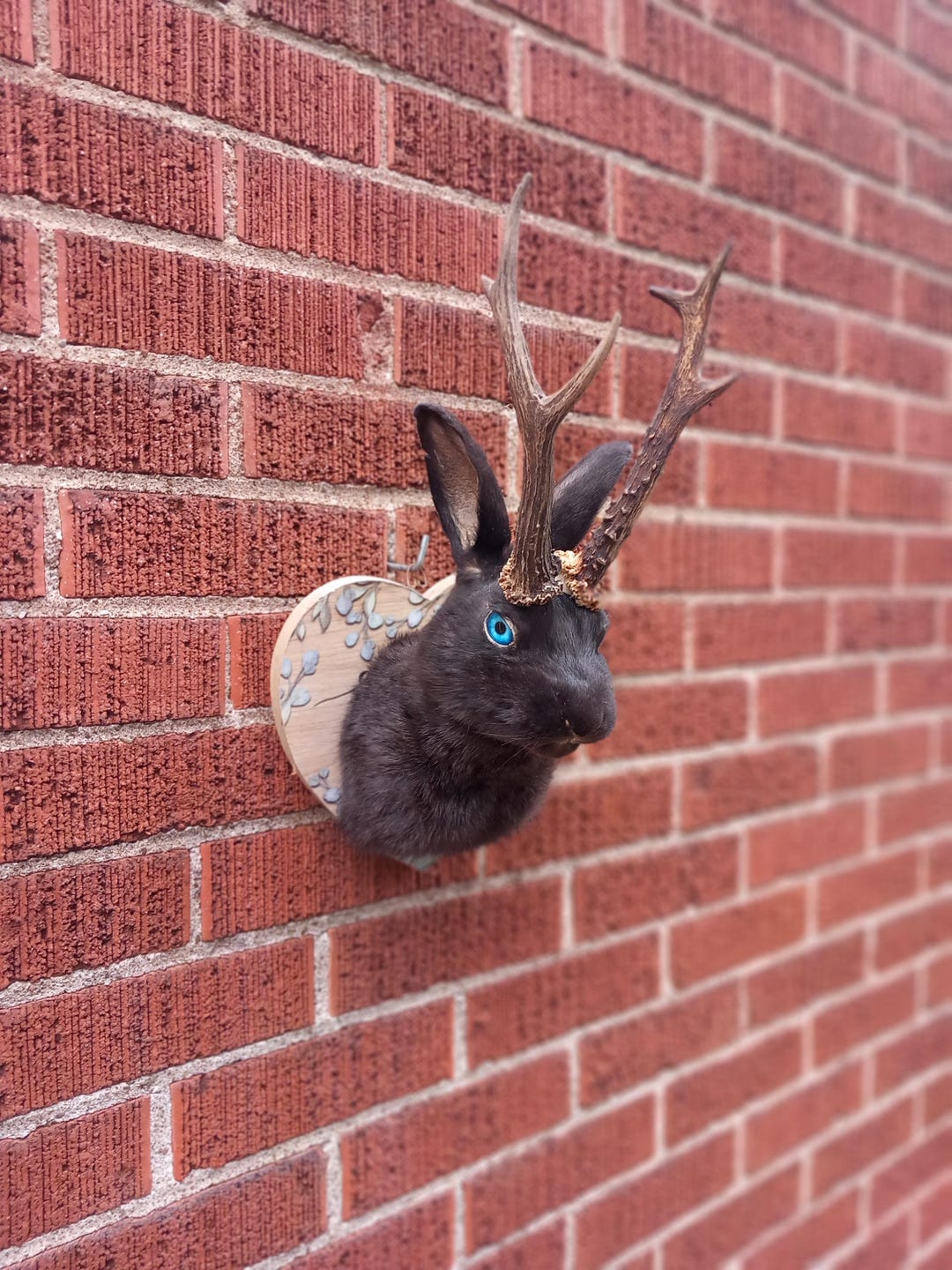 Black Shoulder Mount Jackalope Taxidermy With Real Roe Deer Skull ...