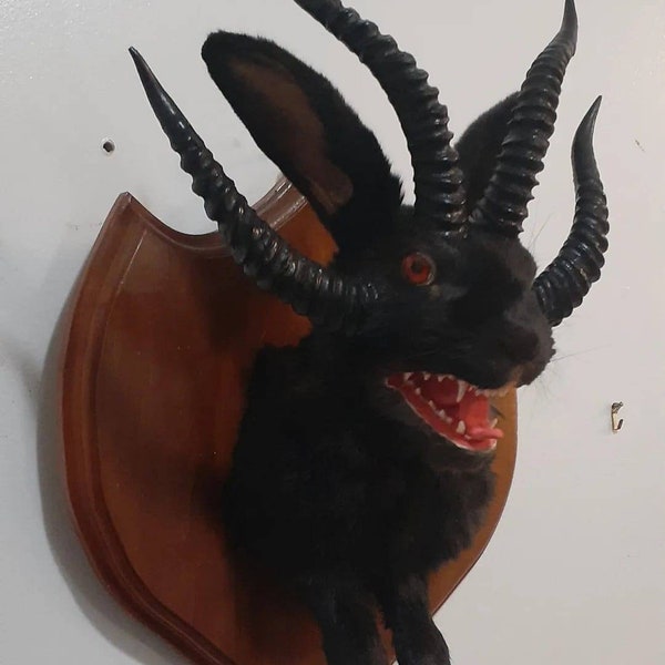 Jackalope Mount - Etsy