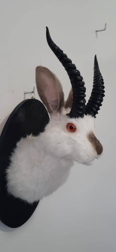 White Jackalope Taxidermy With Red Eyes and Black Replica - Etsy