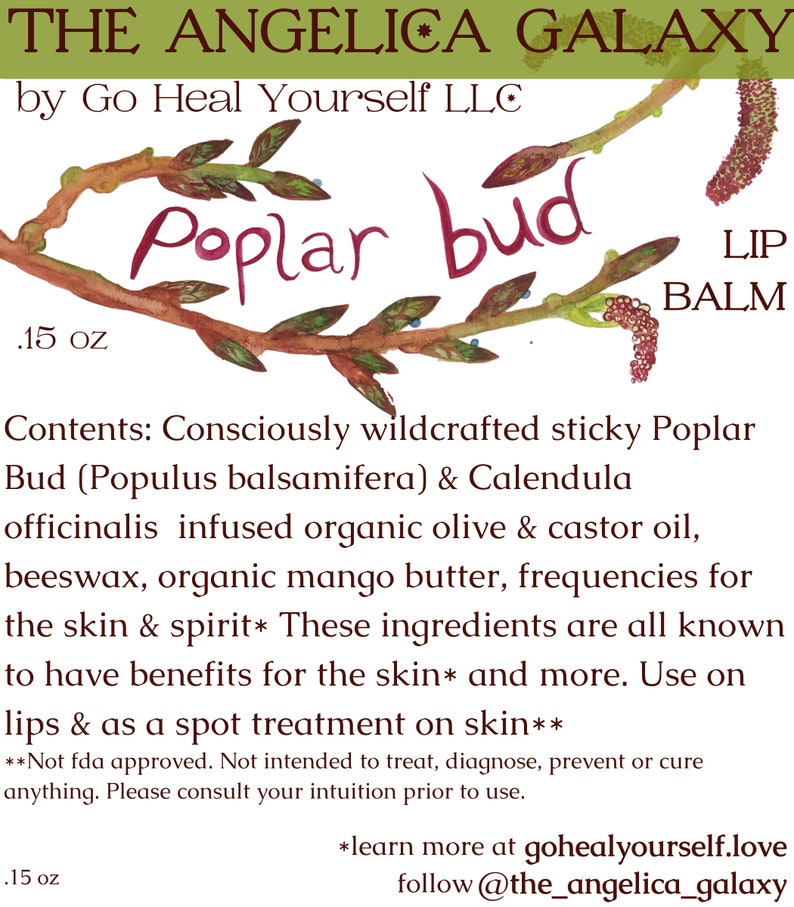 Poplar Bud Lip Balm - Etsy