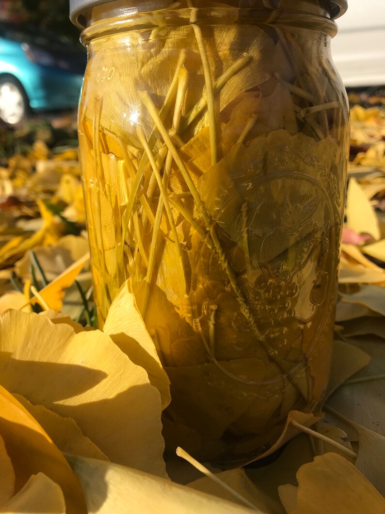 Mind Mate Elixir Etsy