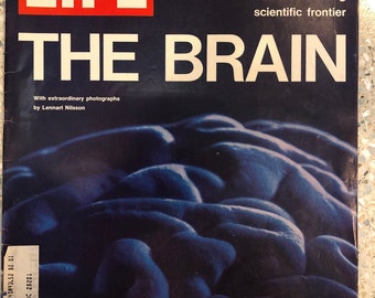 June 11, 1971 LIFE Magazine With Ted and Joan Kennedy on the Cover Has ...