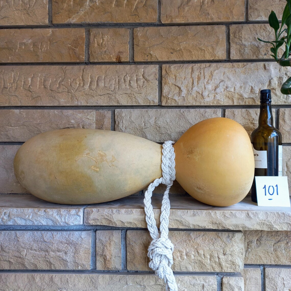 Handcrafted Ipu Heke Drum: Hawaiian Percussion Instrument - Etsy