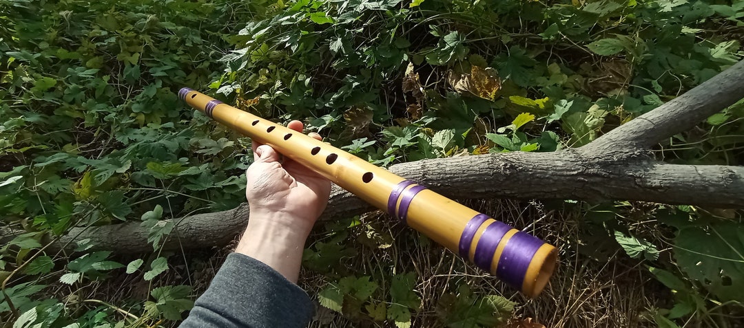 Bansuri Bamboo Flute, Wooden Indian Flute, Native Indian Flute, Nature ...