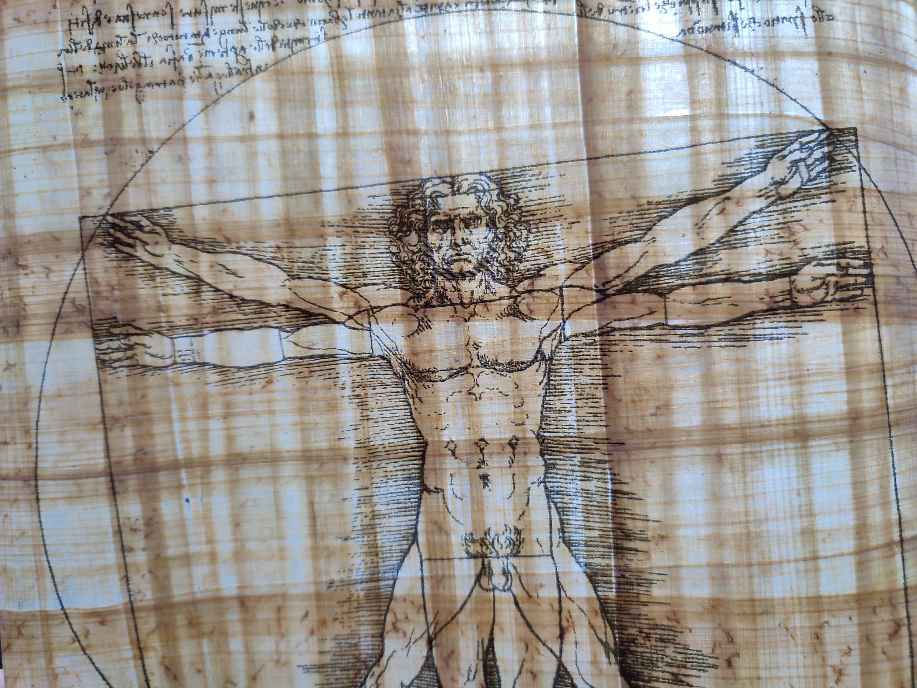 Vitruvian Man Papyrus by Leonardo Da Vinci, Vitruvian Man Papyrus ...