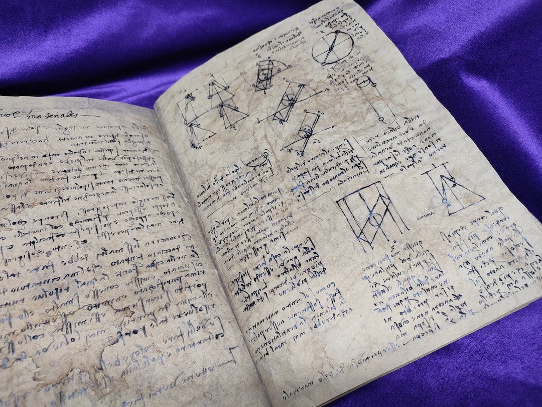 The Flight of Birds Codex by Leonardo Davinci - Etsy