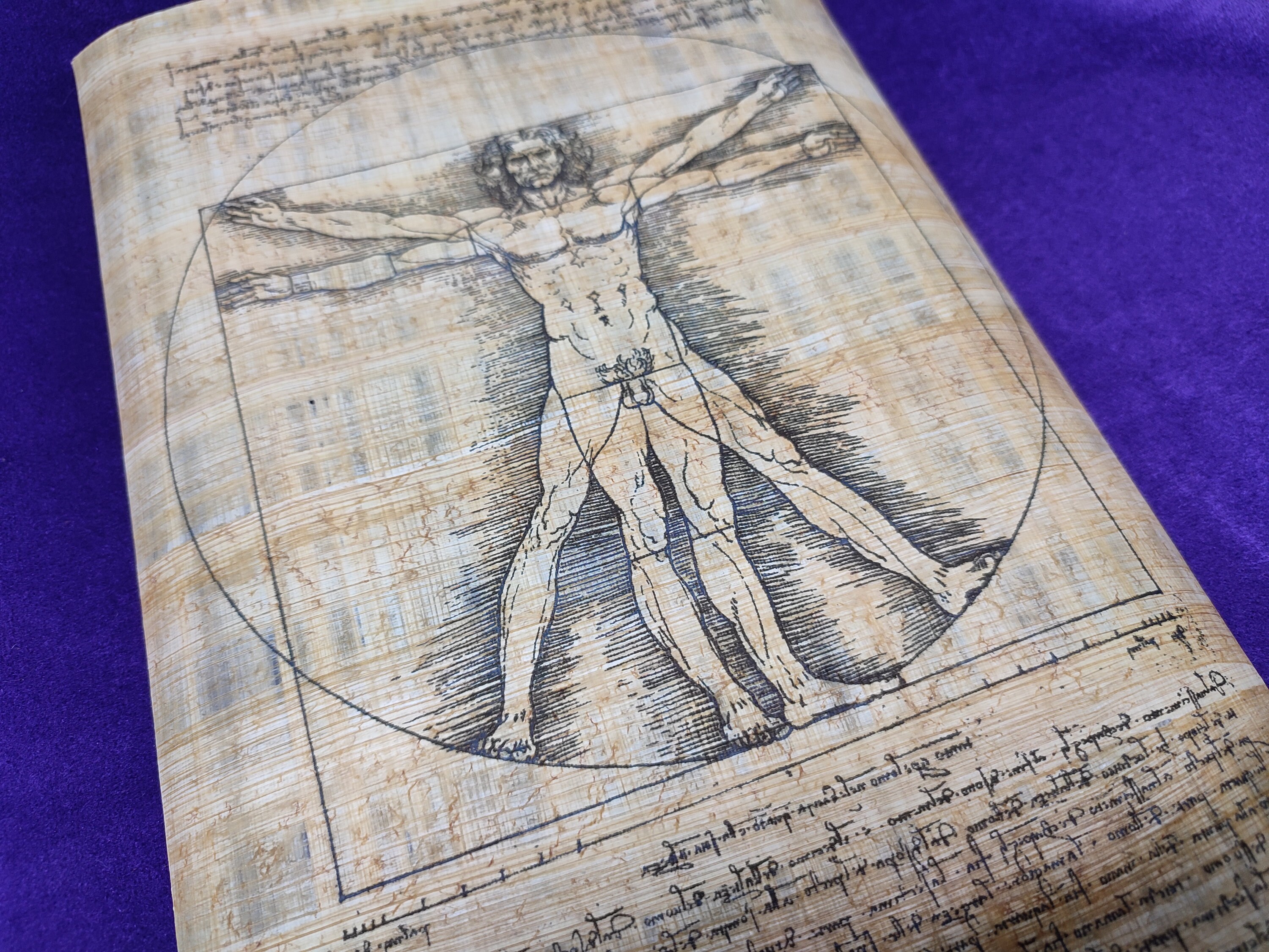 Vitruvian Man Papyrus by Leonardo Da Vinci, Vitruvian Man Papyrus ...