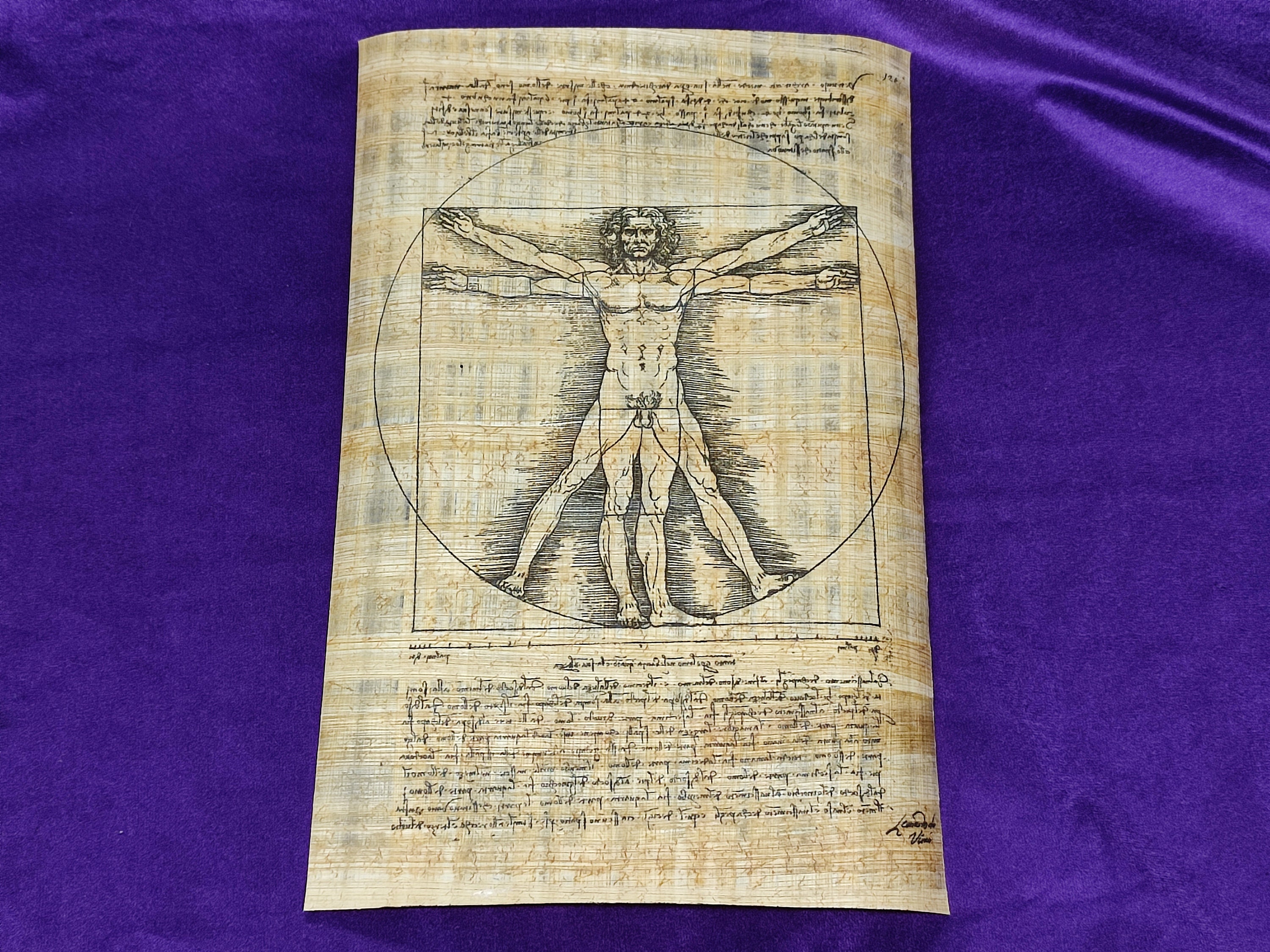 Vitruvian Man Papyrus by Leonardo Da Vinci, Vitruvian Man Papyrus ...