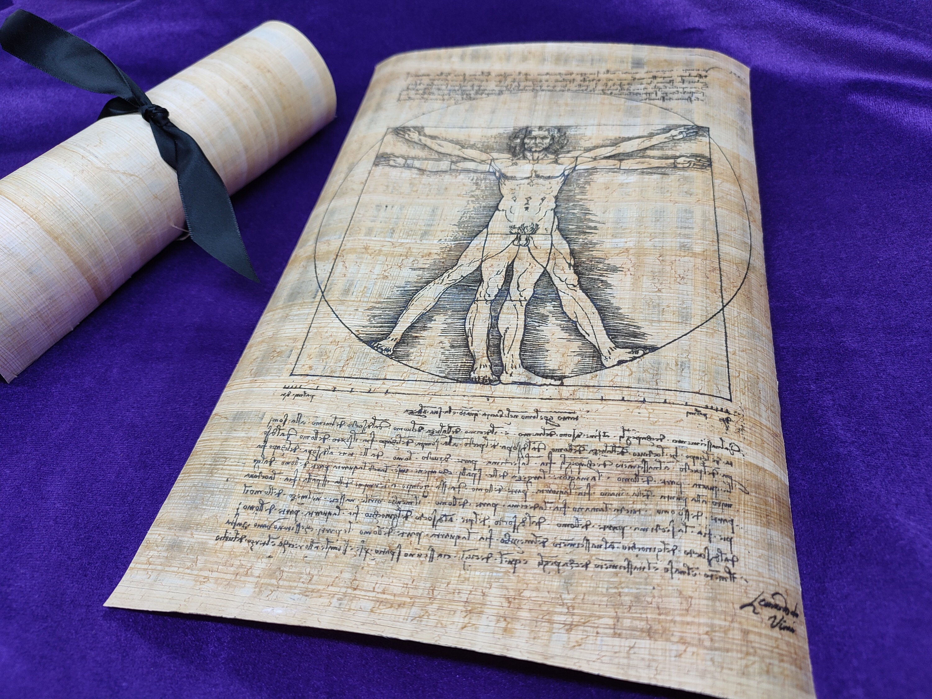 Vitruvian Man Papyrus by Leonardo Da Vinci, Vitruvian Man Papyrus ...