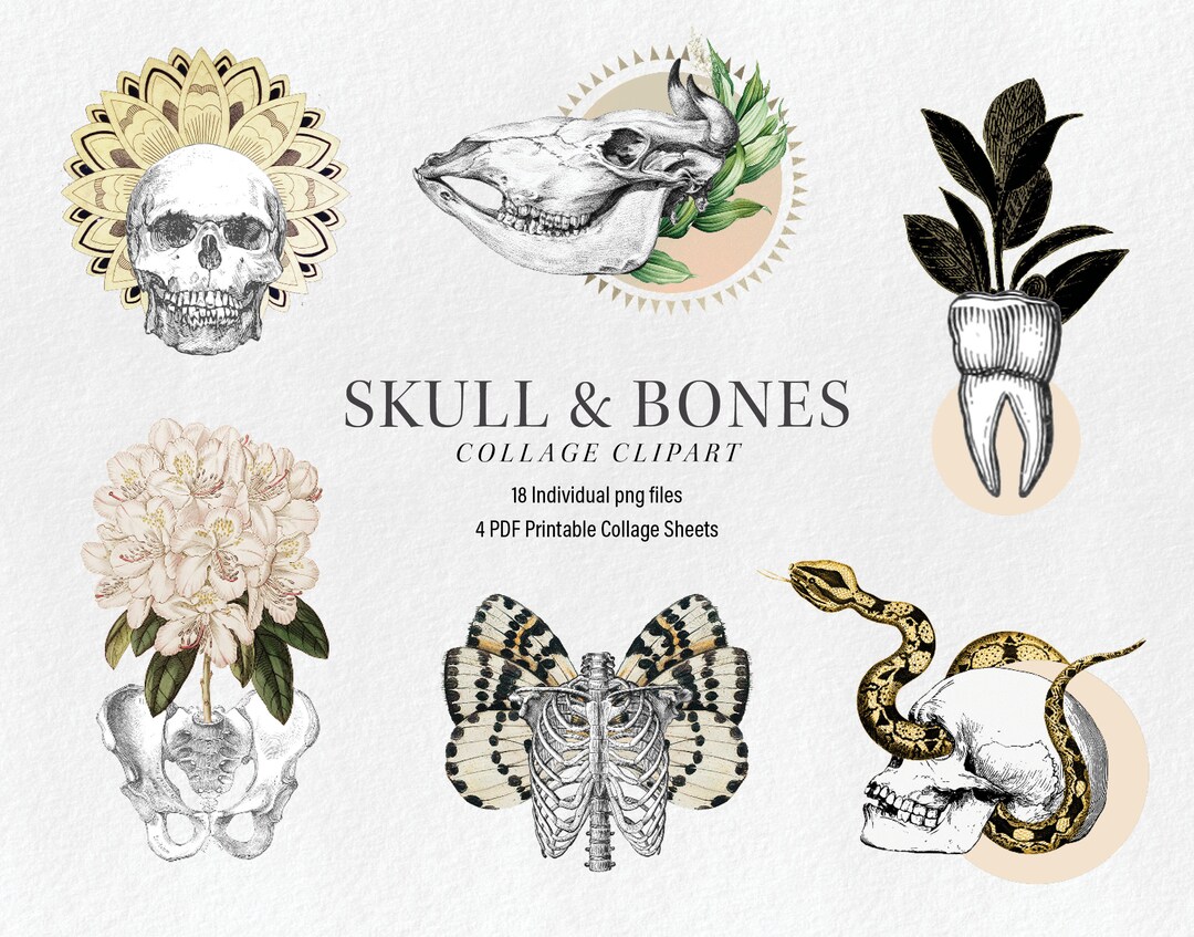 Skull and Bones Digital Collage Clipart | Printable Collage Sheets ...