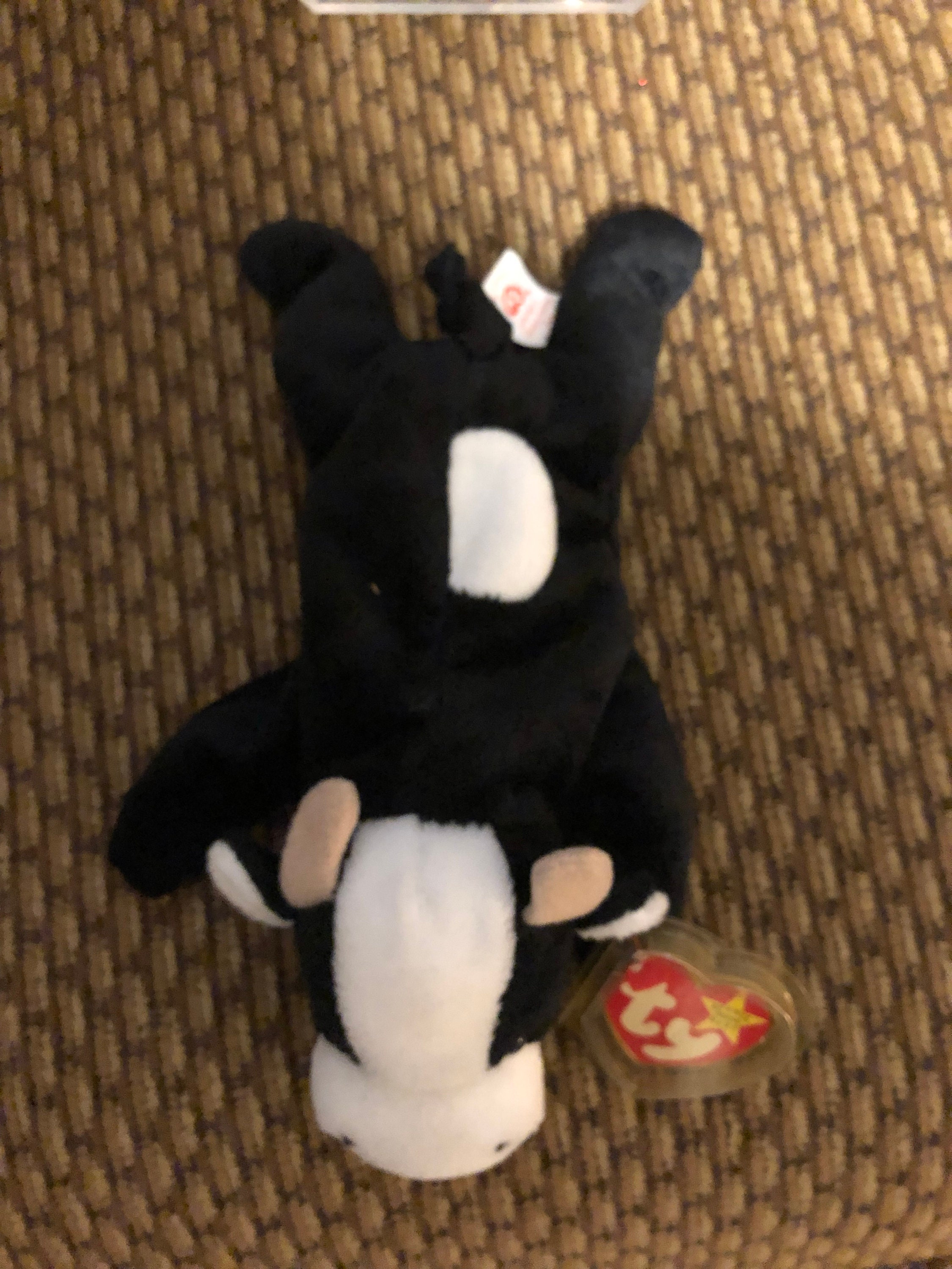 Ty • Daisy • Cow • RARE • Beanie Baby - Etsy