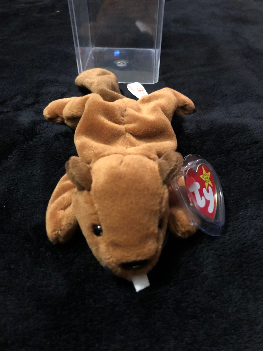 Ty RARE Bucky-beaver Beanie Baby - Etsy