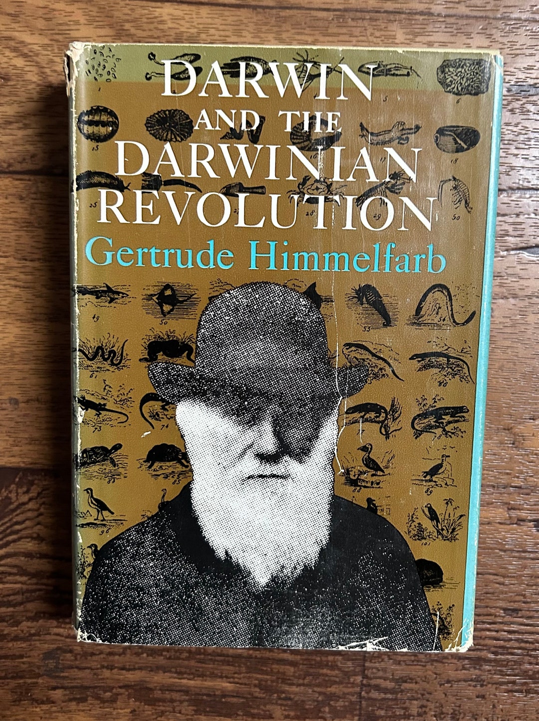 Darwin and the Darwinian Revolution HC Book by Gertrude Himmelfarb - Etsy