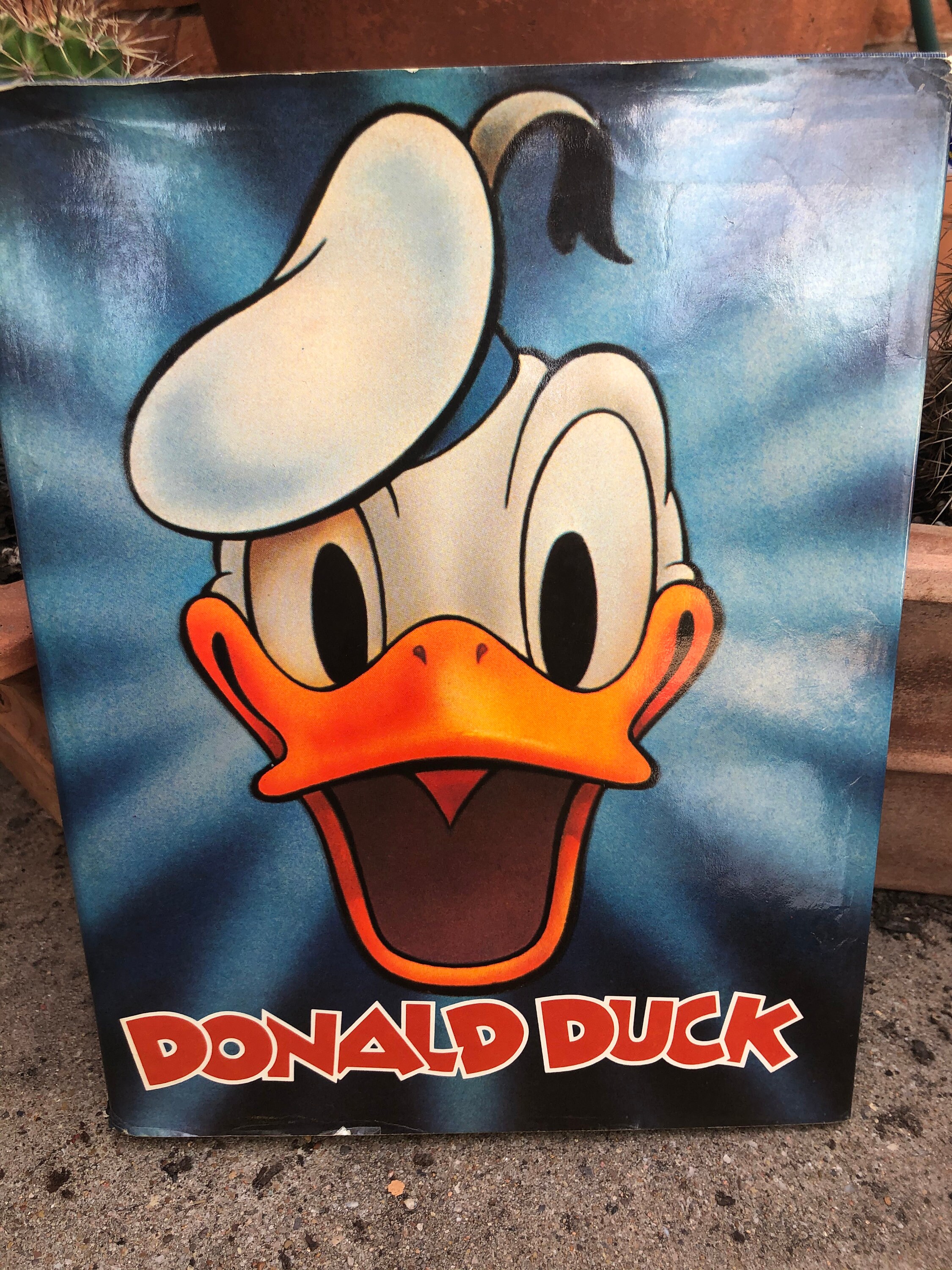 1979 Donald Duck- Marcia Blitz Hardcover Book With DJ - Etsy UK