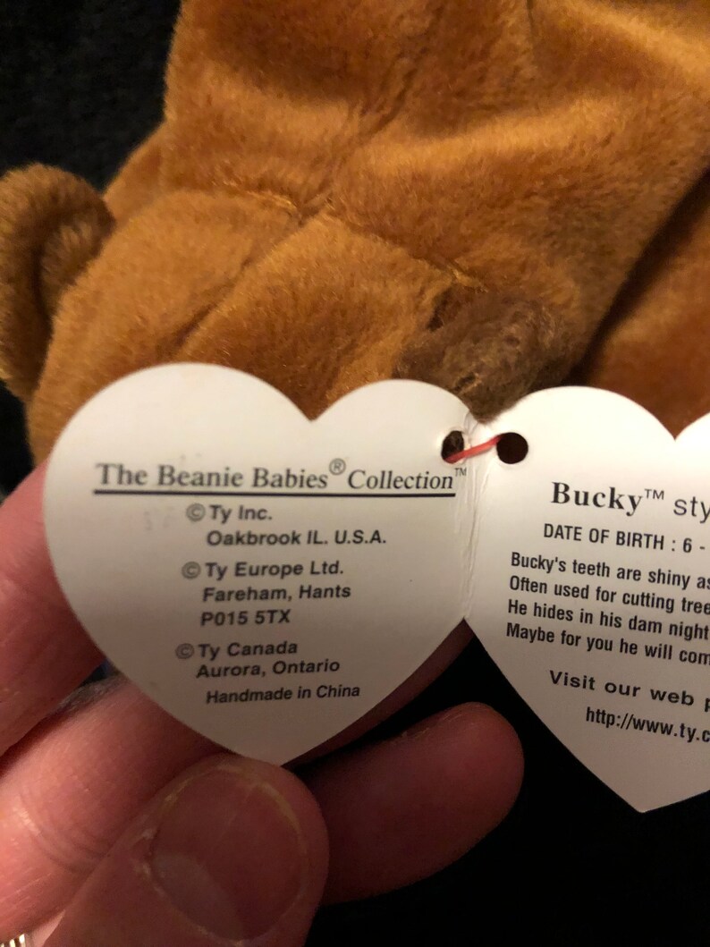 Ty RARE Bucky-beaver Beanie Baby - Etsy