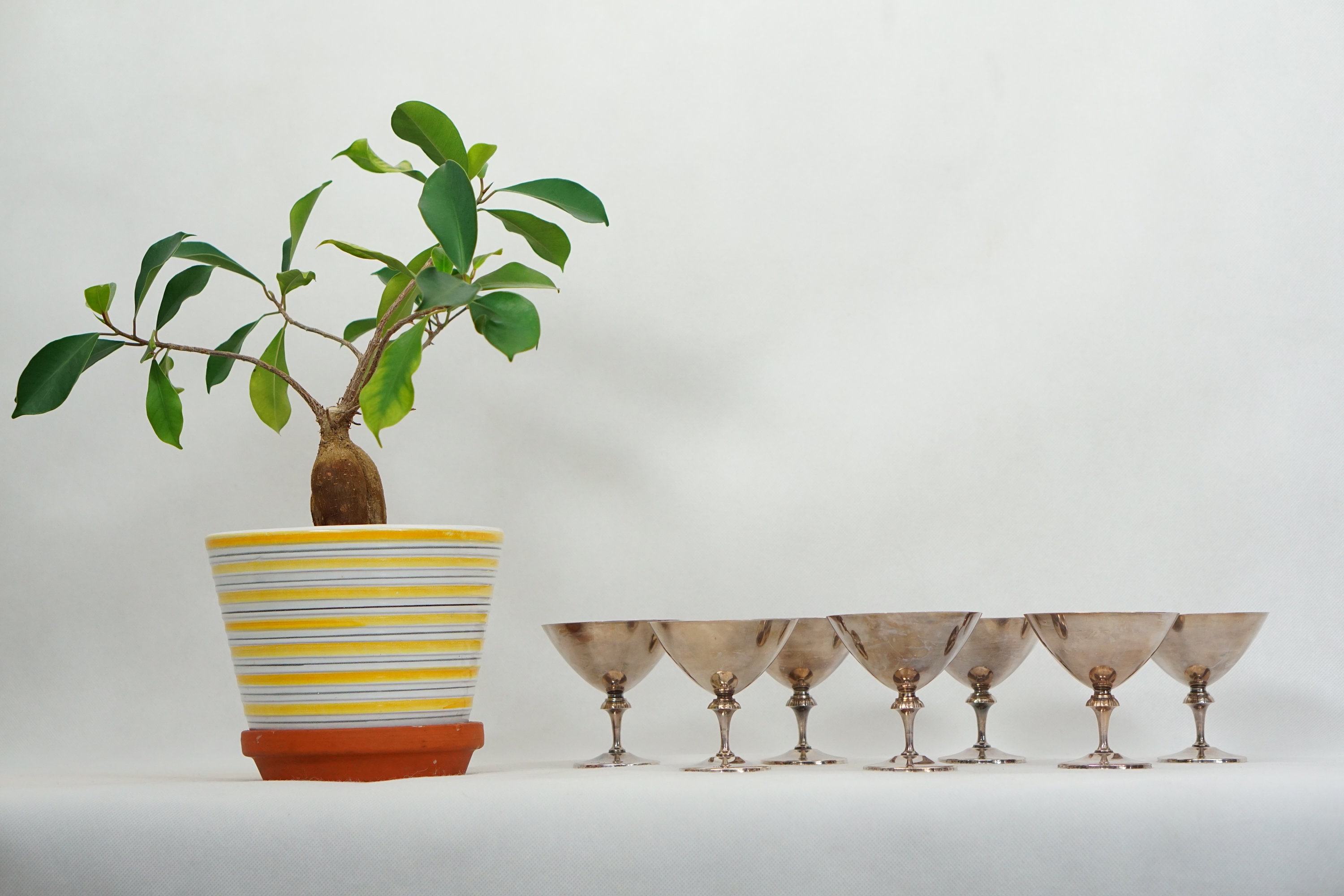 Antique Set of 7 NICKEL ALPACCA SILVER Plated Cups Calyx | Etsy