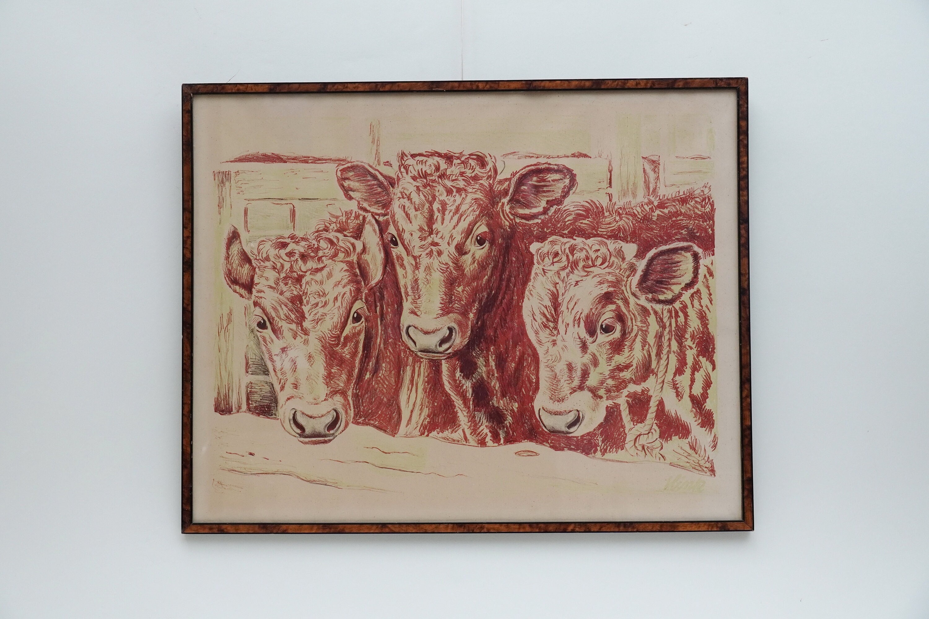 50 X 63 Vintage LITHOGRAPHY Mid Century Art Cows Animals 50s - Etsy