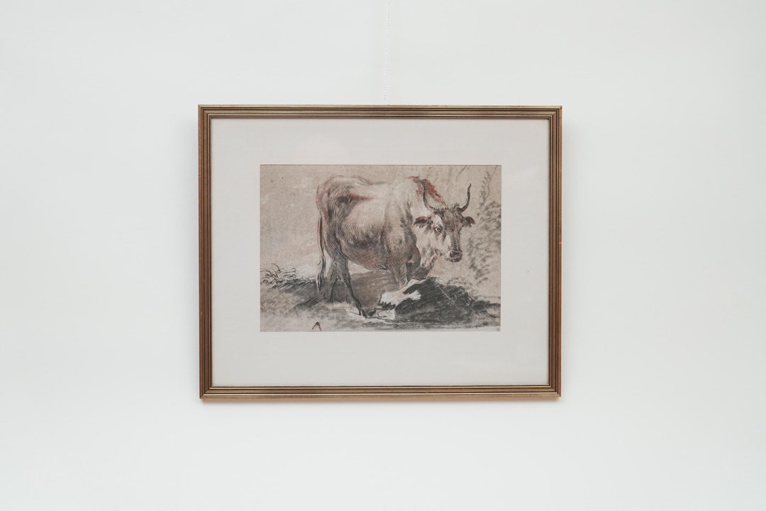 50 X 43 Vintage 80s Colour Print Bull 70s 80s Scandinavian Art - Etsy