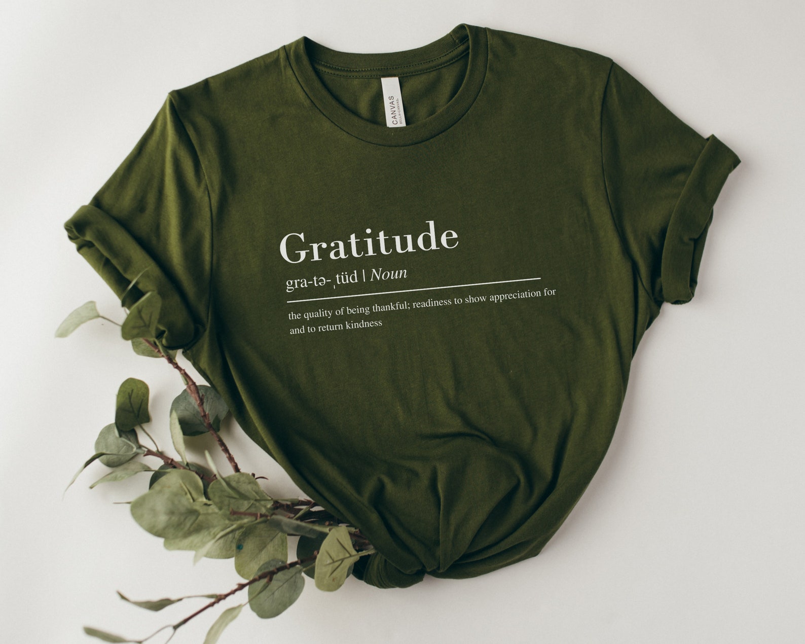 Gratitude T-shirt, Grateful Tee, Gratitude Definition Short Sleeve ...