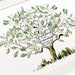 Reverse Family Tree Large Framed Illustration 5 Generations - Etsy