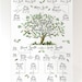 Reverse Family Tree Large Framed Illustration 5 Generations - Etsy