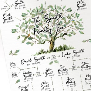 Reverse Family Tree Large Framed Illustration 5 Generations - Etsy
