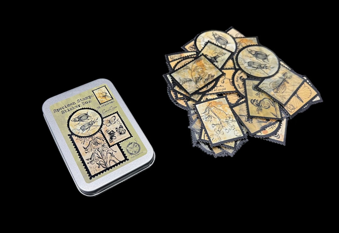 36 Pack of Specimen Stickers With Tin Box Featuring Butterflies ...