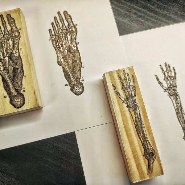 Skeleton Stamps - Etsy