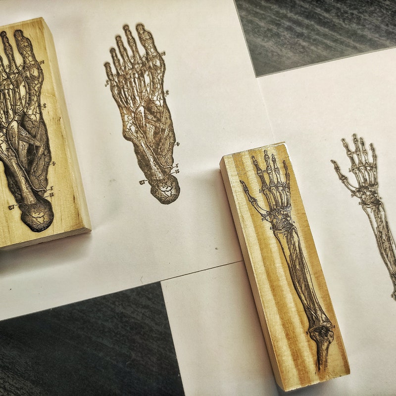 Skeleton Stamps - Etsy