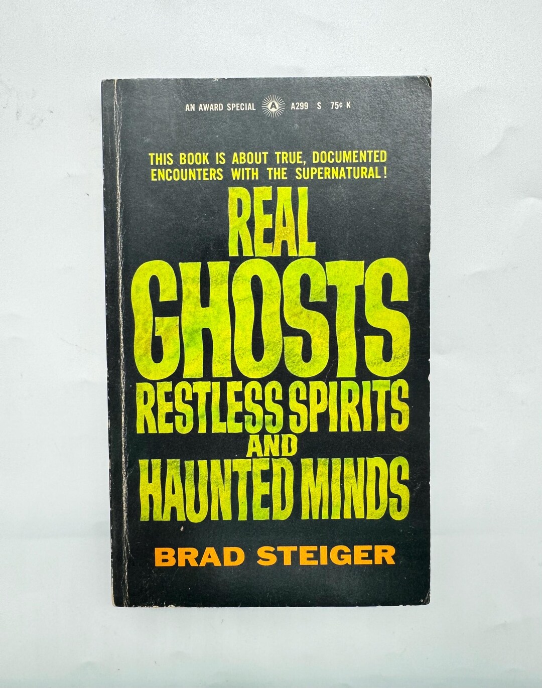 Real Ghosts, Restless Spirits and Haunted Minds by Brad Steiger ...