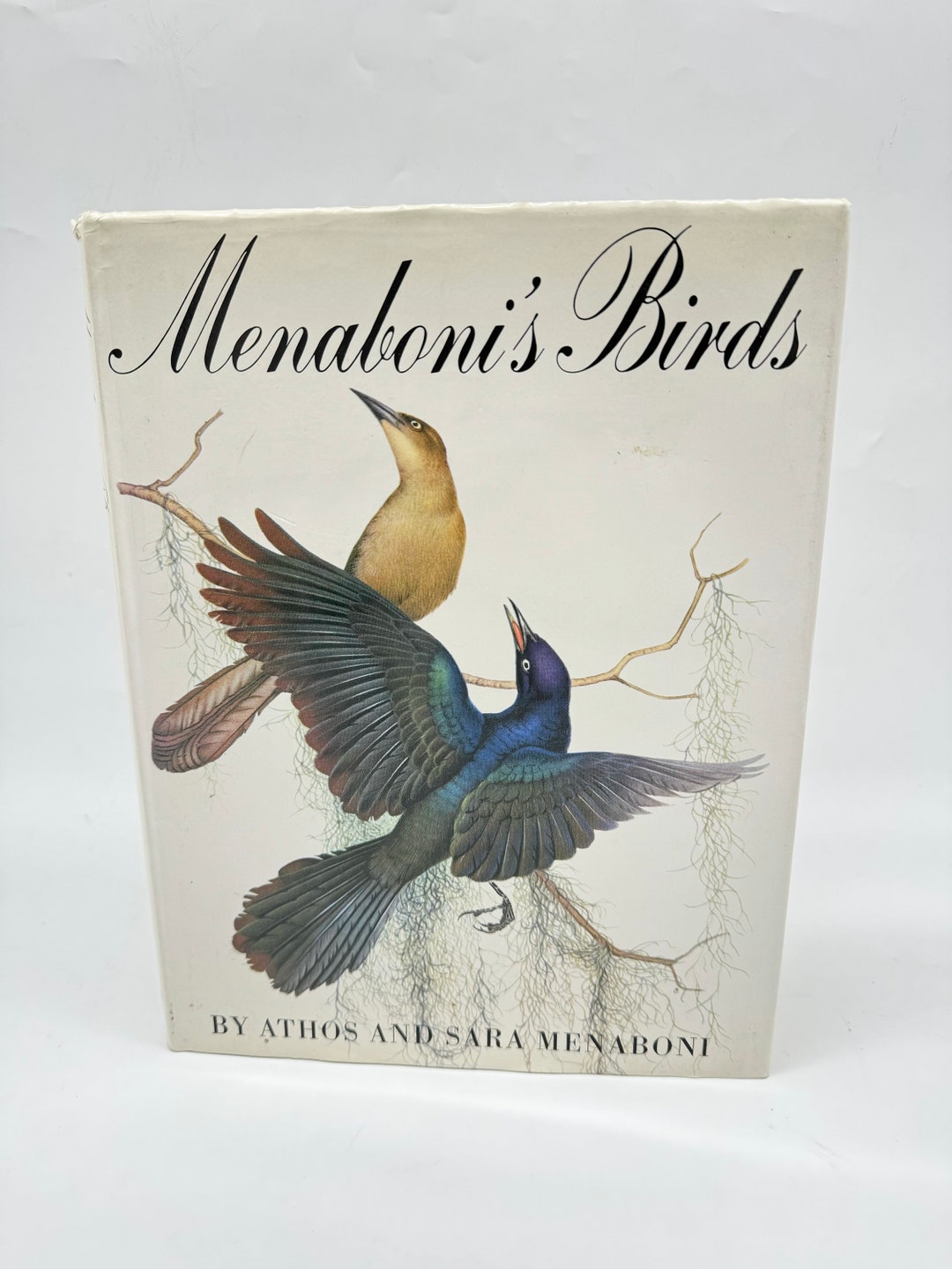 Menaboni’s Birds by Athos and Sara Menaboni Hardcover Signed Art Book ...