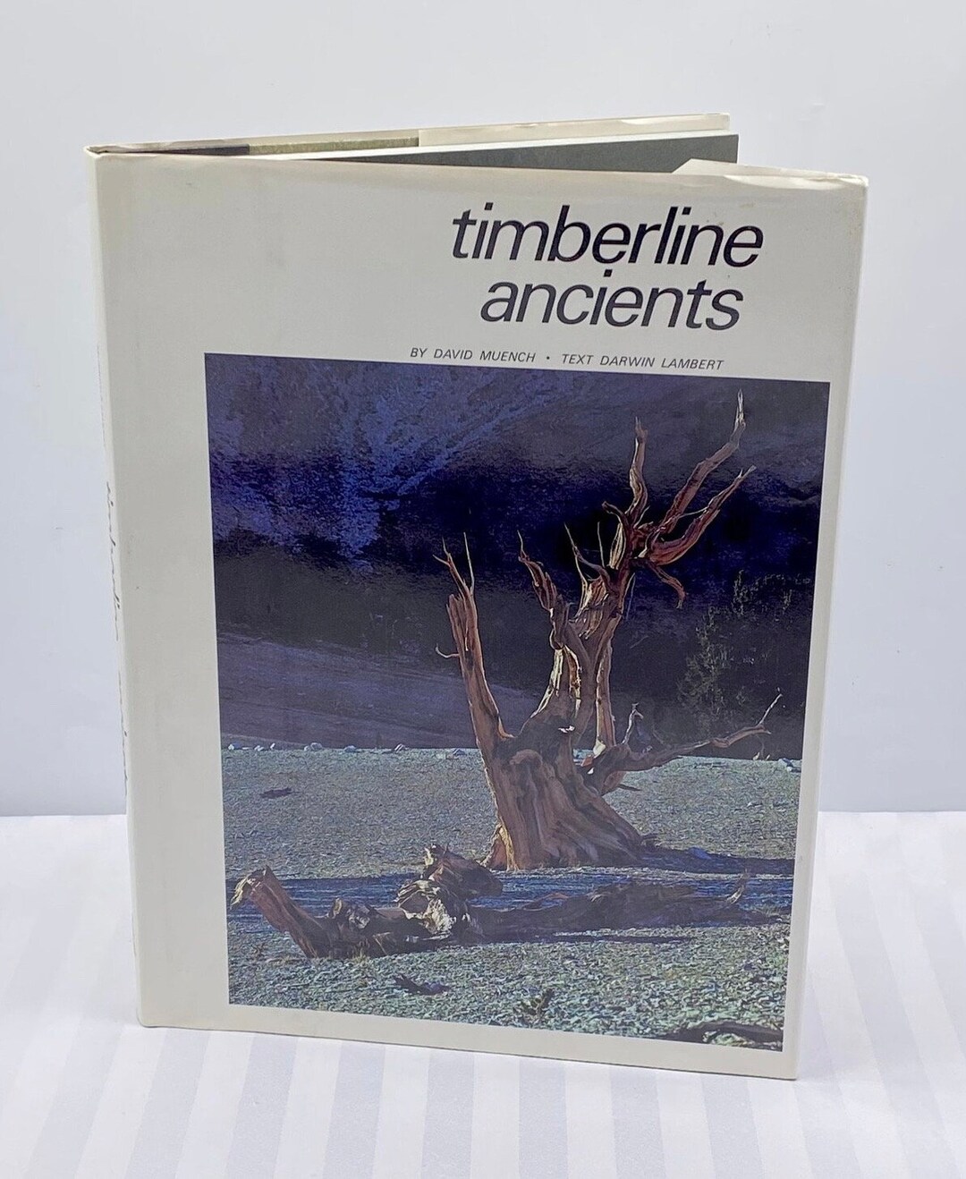 Timberline Ancients by David Muench and Darwin Lambert Hardcover First ...
