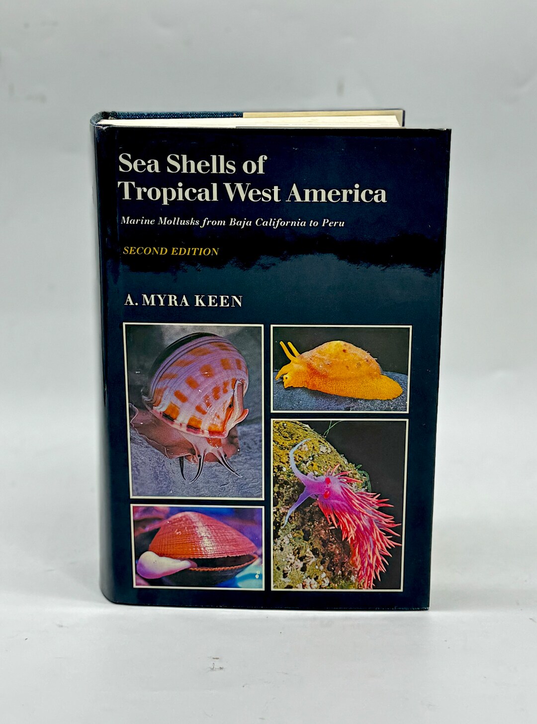 Sea Shells of Tropical West America by A. Myra Keen Hardcover Second ...