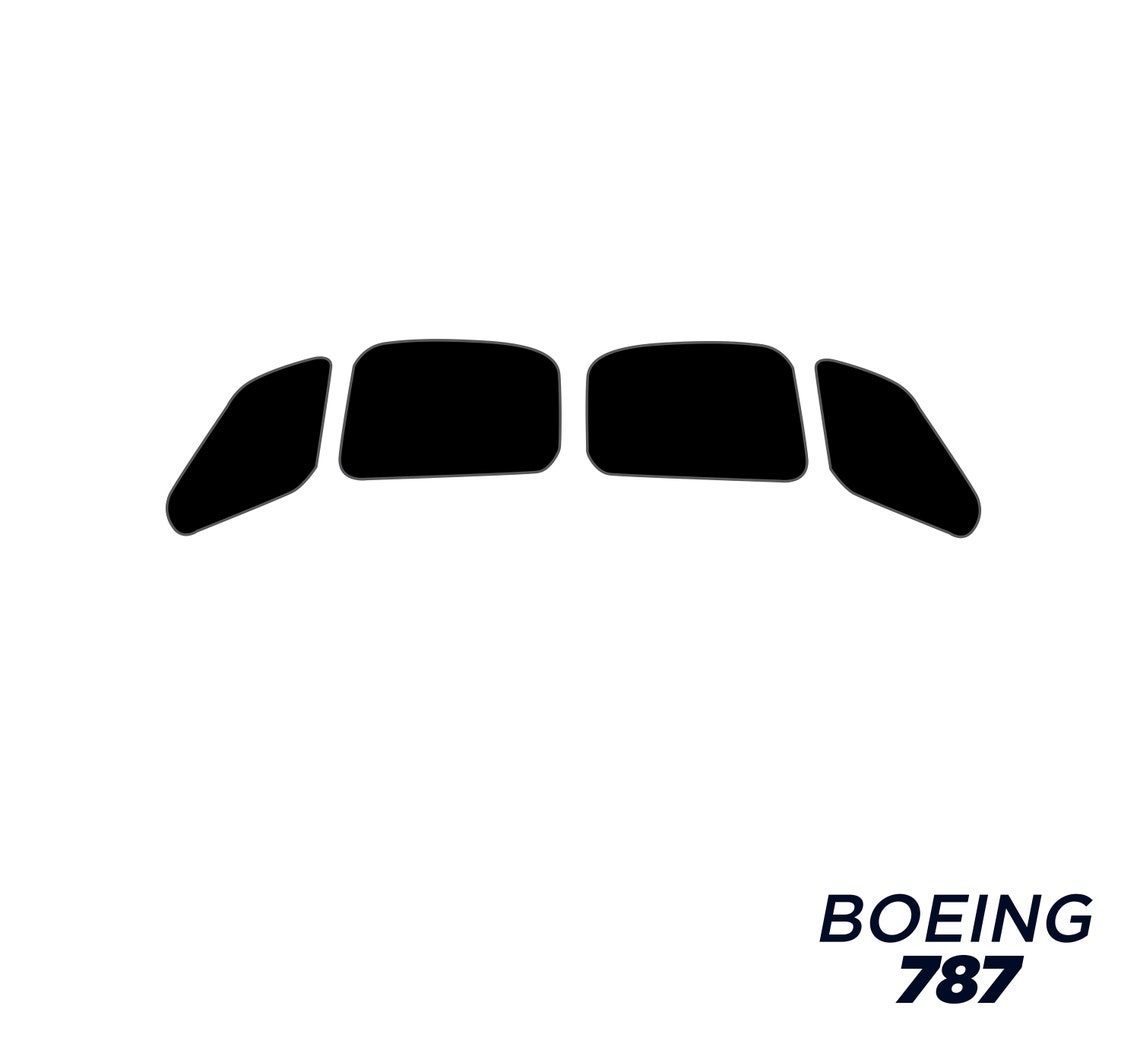 Boeing B787 Mask T Shirt White WMS - Etsy