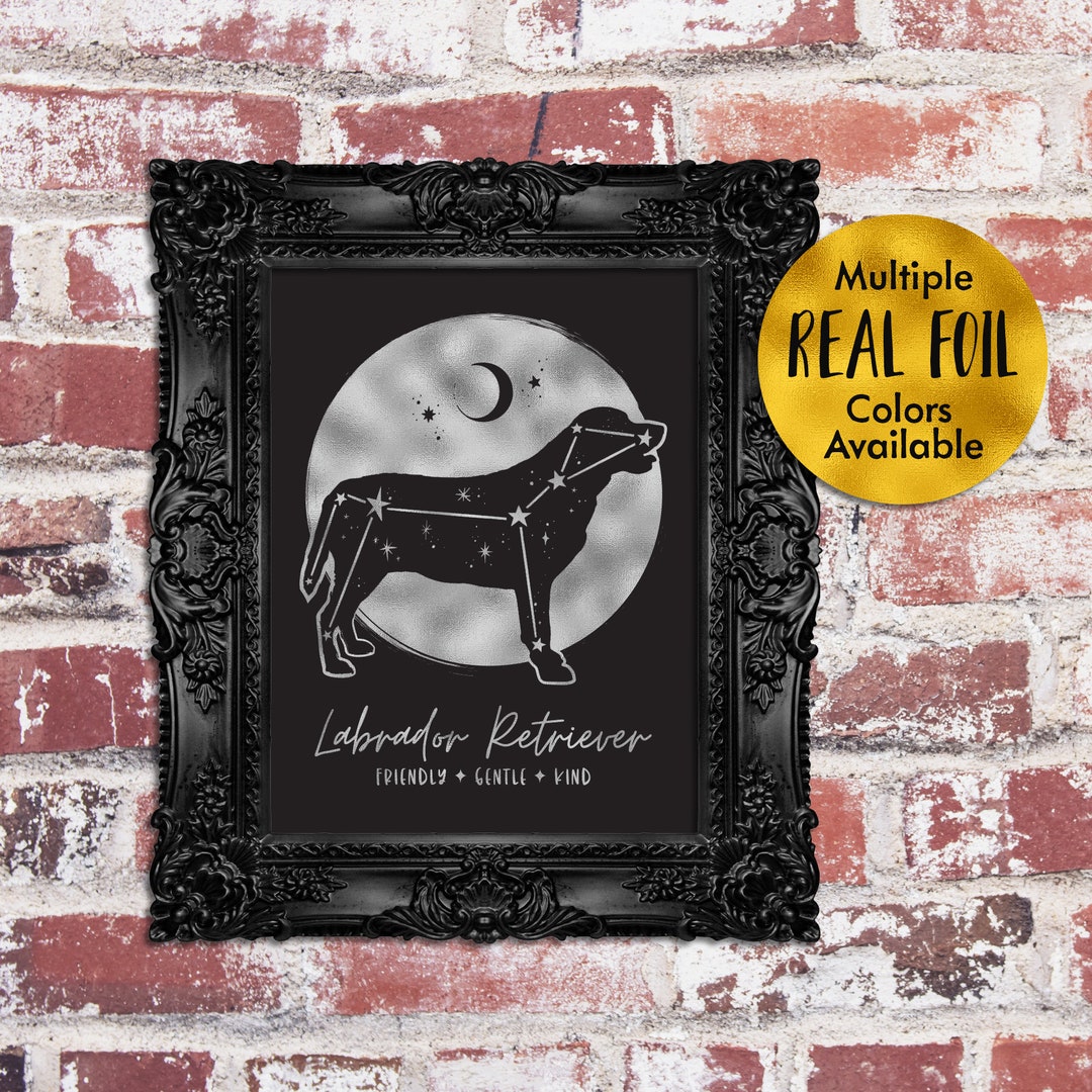 Labrador Retriever Constellation Art, Zodiac Dog, Dog Astrology ...
