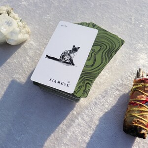 Terra Oracle Deck 100 Card Animal Oracle Deck Hand Drawn Oracle Deck - Etsy