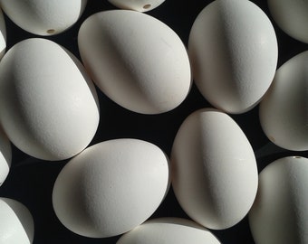 Empty Egg Shells | Etsy