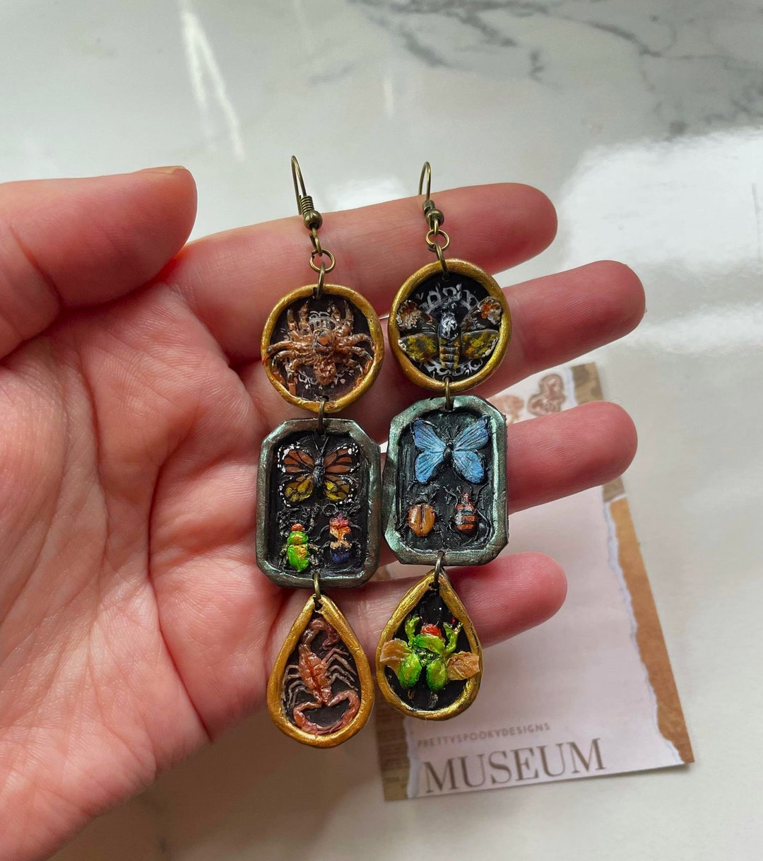 Polymer Clay Earrings // Entomology // Taxidermy Insects // Framed ...