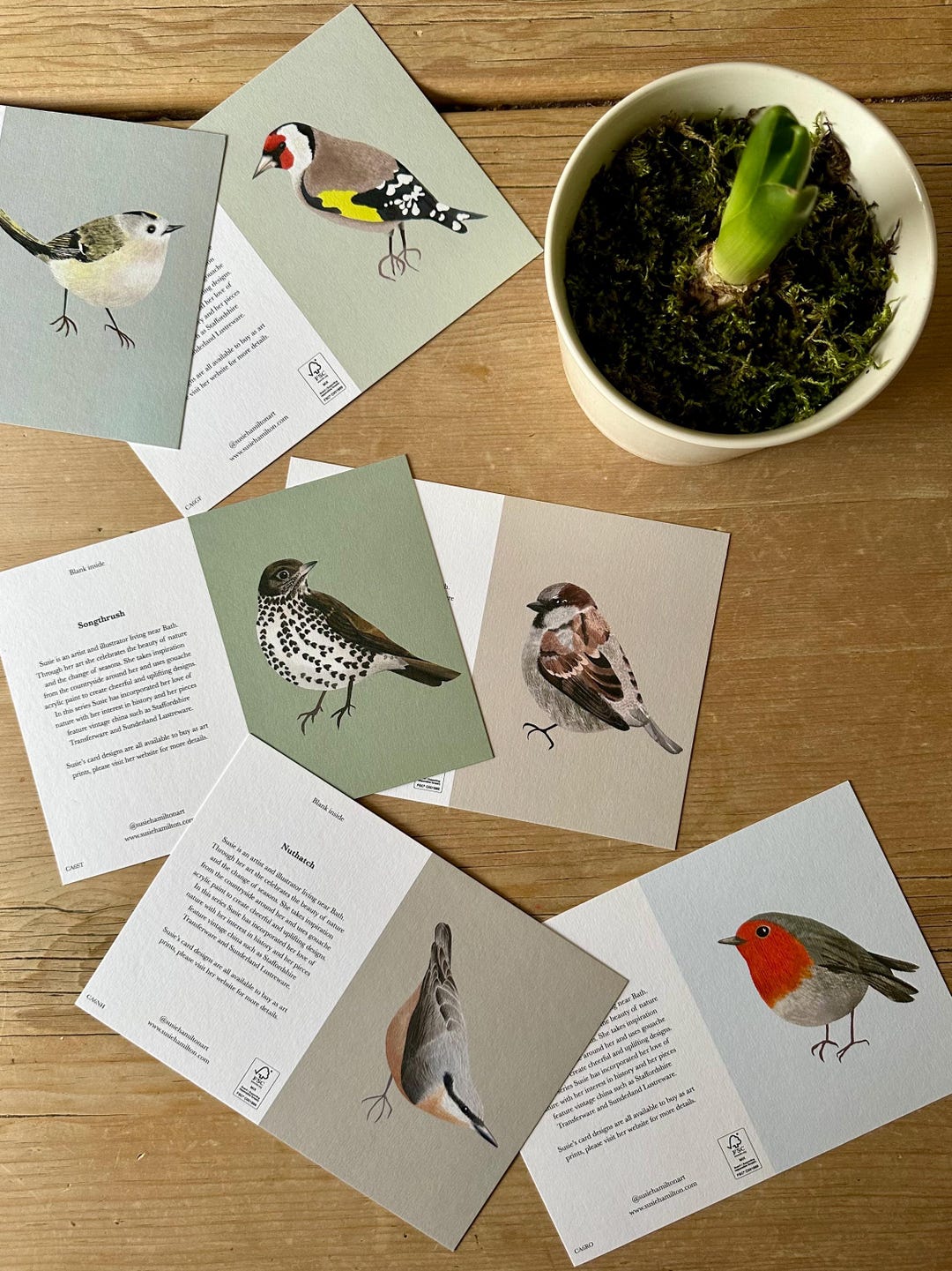 The Birds Lovers Card Set - Art Cards, Blank Cards, Bird Cards, Nature ...