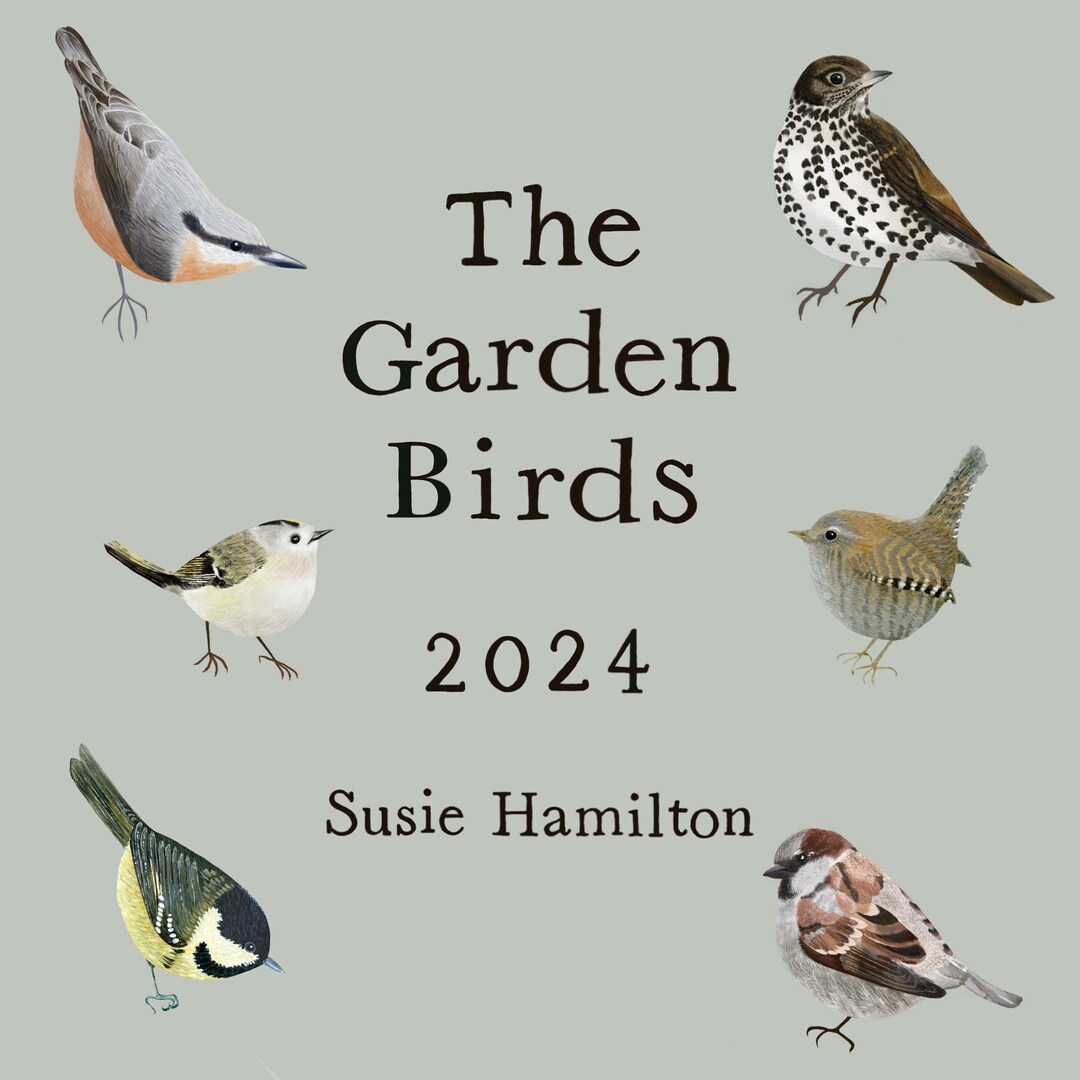 The Garden Birds 2024 Calendar Bird Art Handmade Calendar - Etsy UK
