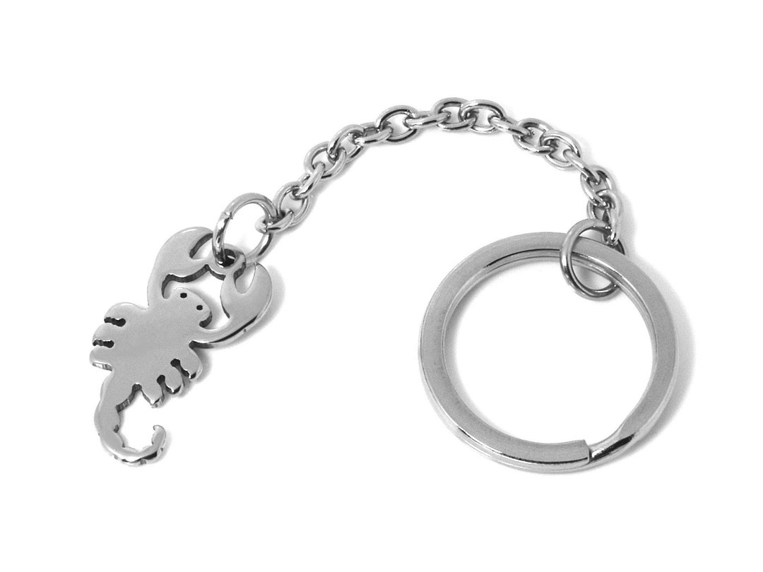 Scorpion Keychain in Stainless Steel With 25 Mm Key Ring - Etsy